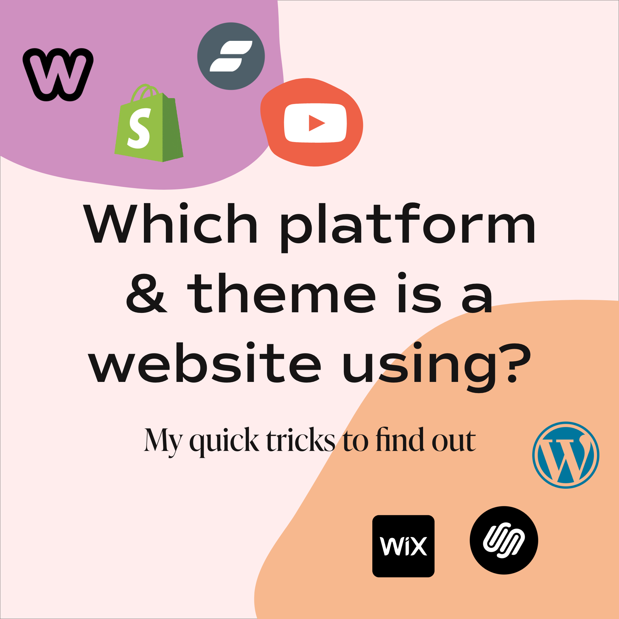 Which platform & theme is a website using? – Launch Party by Shelley Easter